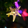 Qedertek Fairy Christmas Lights Starfish Solar String Lights 20ft 30 ...