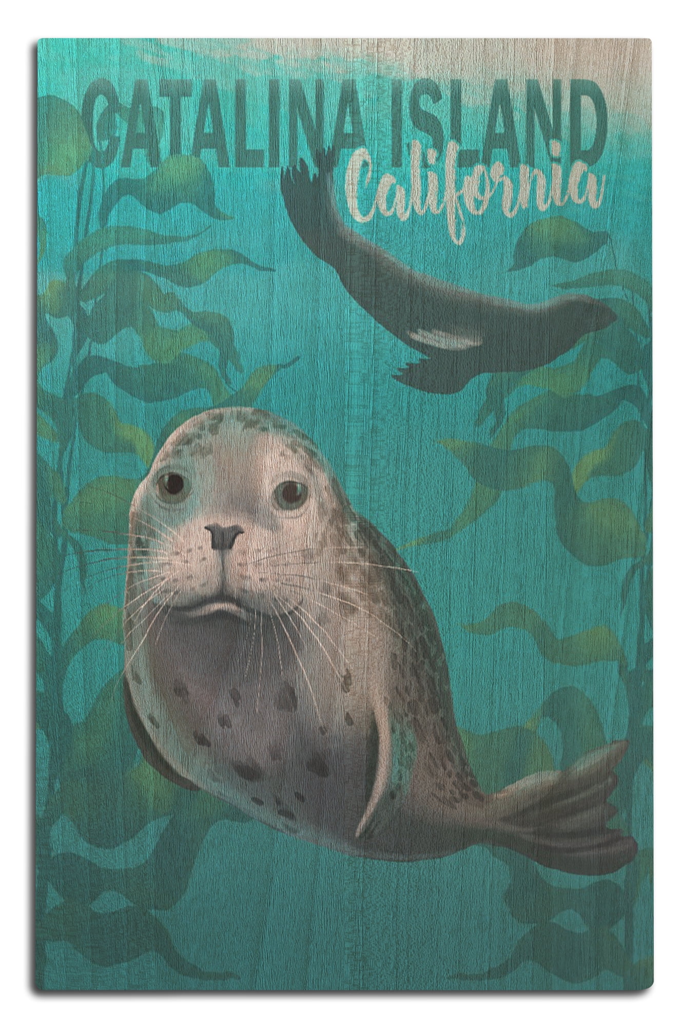 Catalina Island, Harbor Seals Birch Wood Wall Sign (12x18 Rustic Home ...