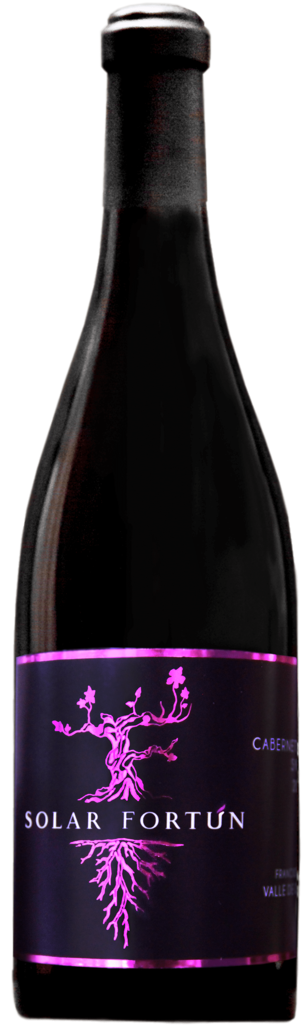 Vino Tinto Solar Fortun O Positivo 750 ml Vid Mexicana Vino Tinto ...
