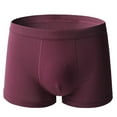 Divhosrg Lovely Underwear For Men Solid Color Trendy Mesh Breathable