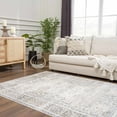 Manhattan Collection Machine Washable Area Rug for Living Room, Bedroom ...