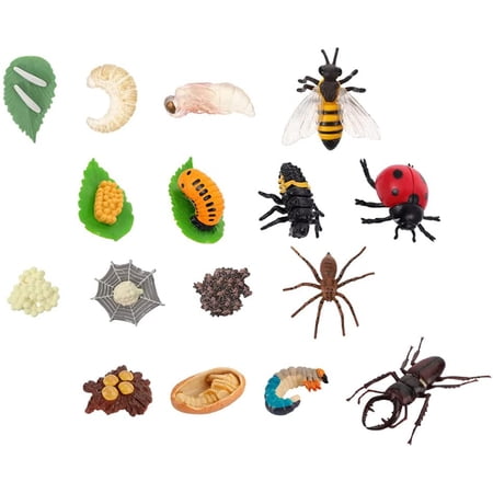 MEEYreg 4 Sets Butterfly Ladybug Antler Bug Life Cycle Stages Figurines ...