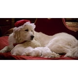 Santa Paws 2: The Santa Pups (Blu-ray + DVD) - Walmart.com
