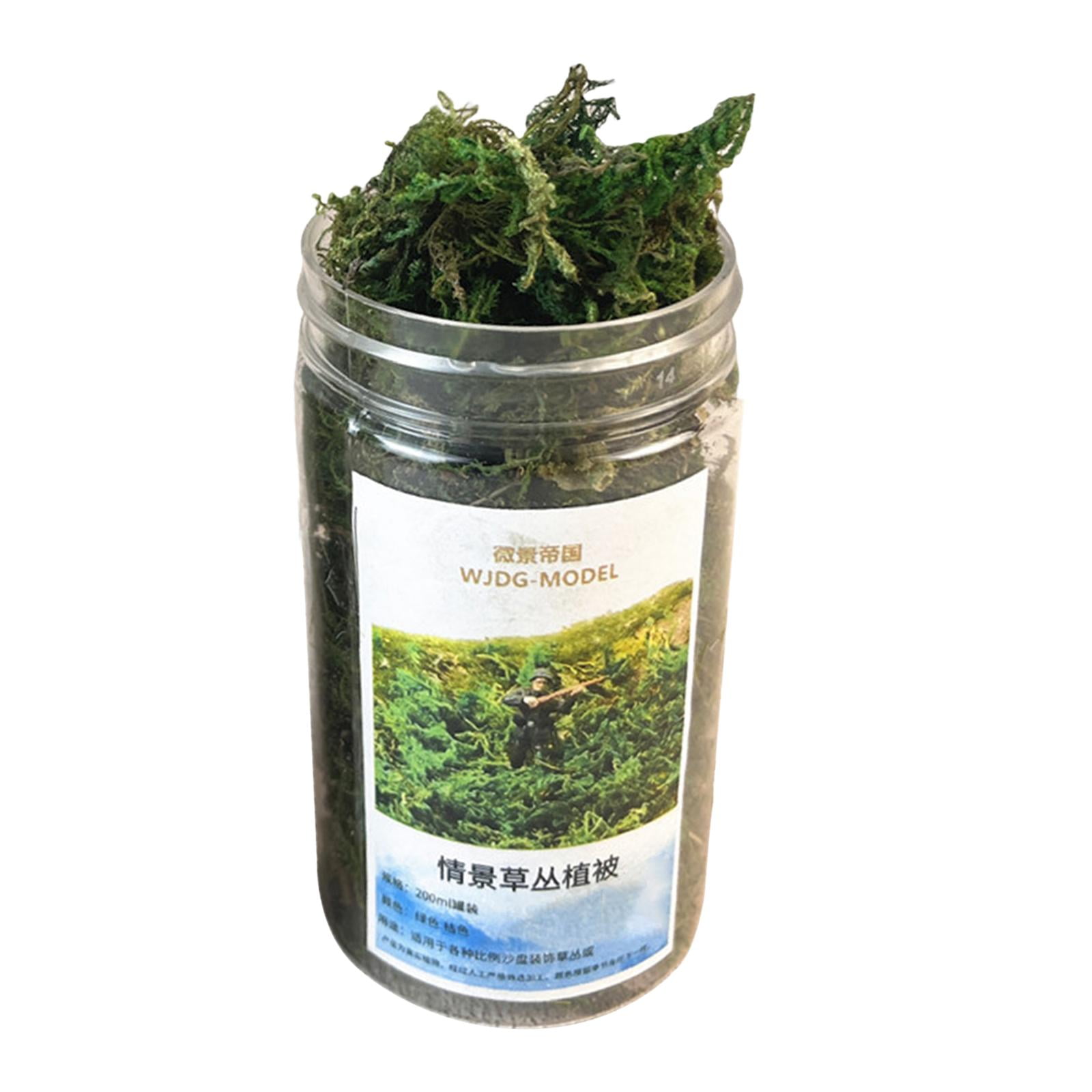 Modelo de mechón de hierba estática, modelo de hierba estática en ...