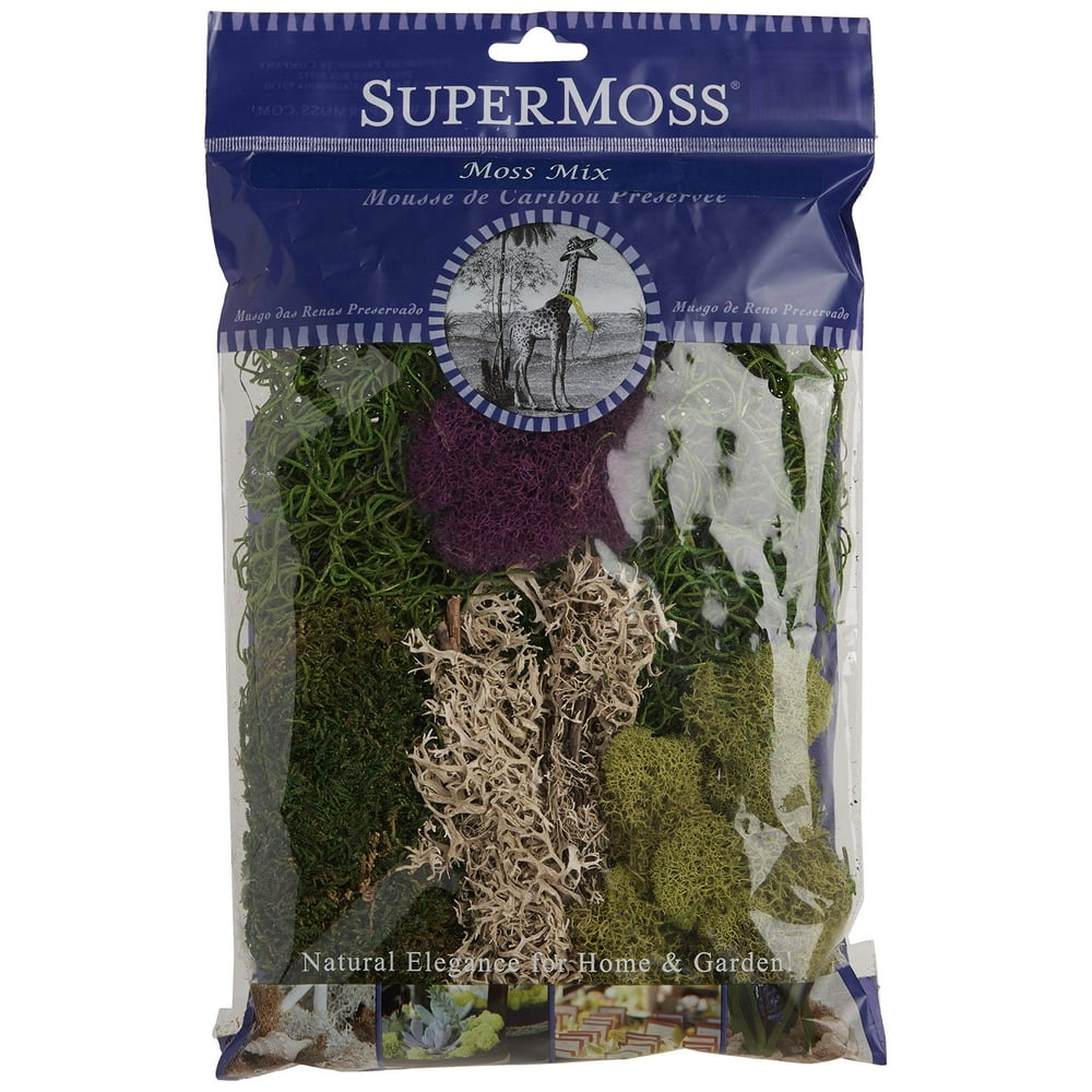 SuperMoss (23310) Moss Mix Preserved, 2oz (110 Cubic Inch) 80.75 in3 ...