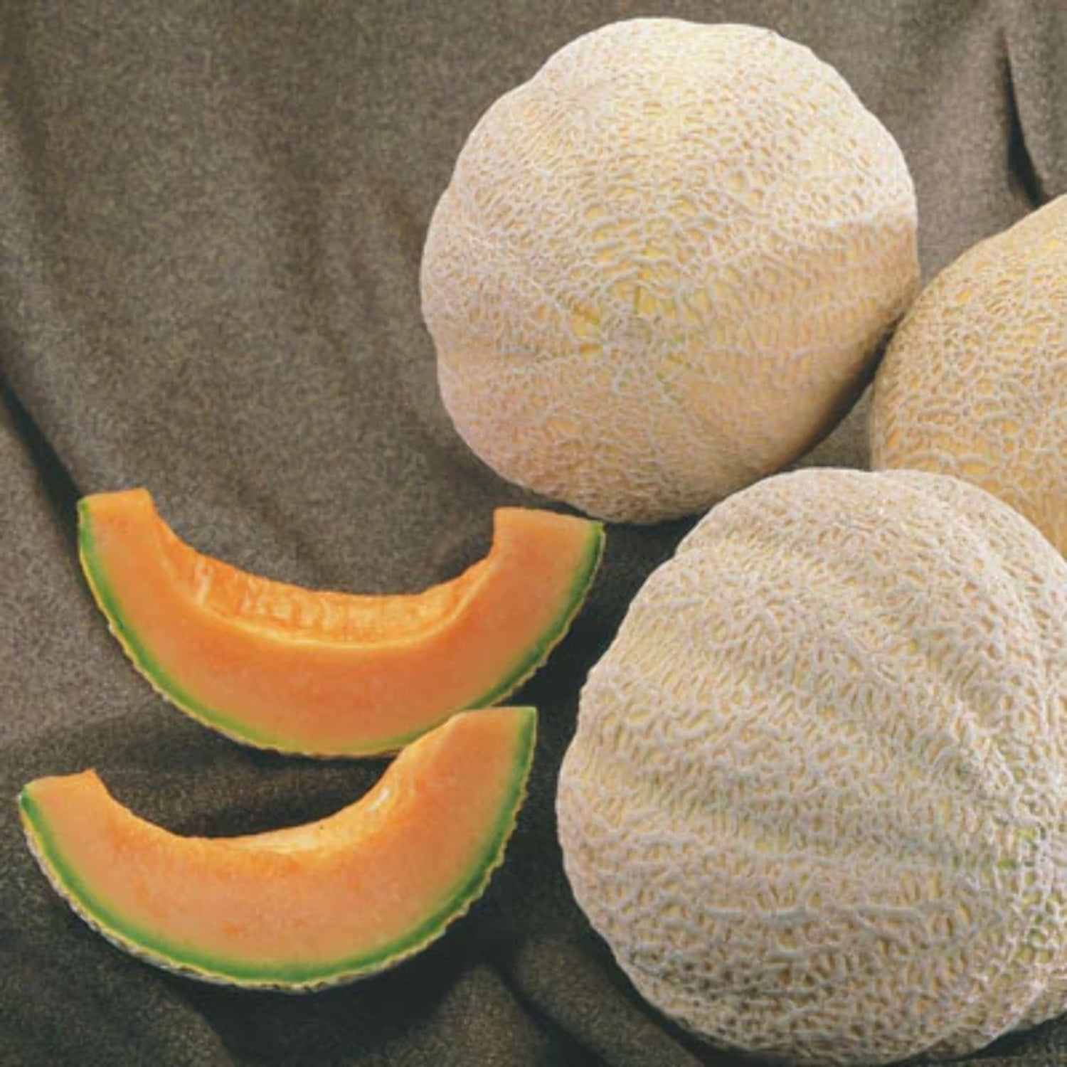 Melon Minerva F1 Seed - Walmart.com