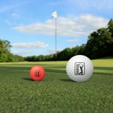 PGA TOUR Extra Large Foam Golf Balls Set of 4 White for Kids Indoor ...