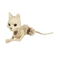 Travelwant Skeleton Cat Skeleton for Halloween Decorations, Skeleton ...