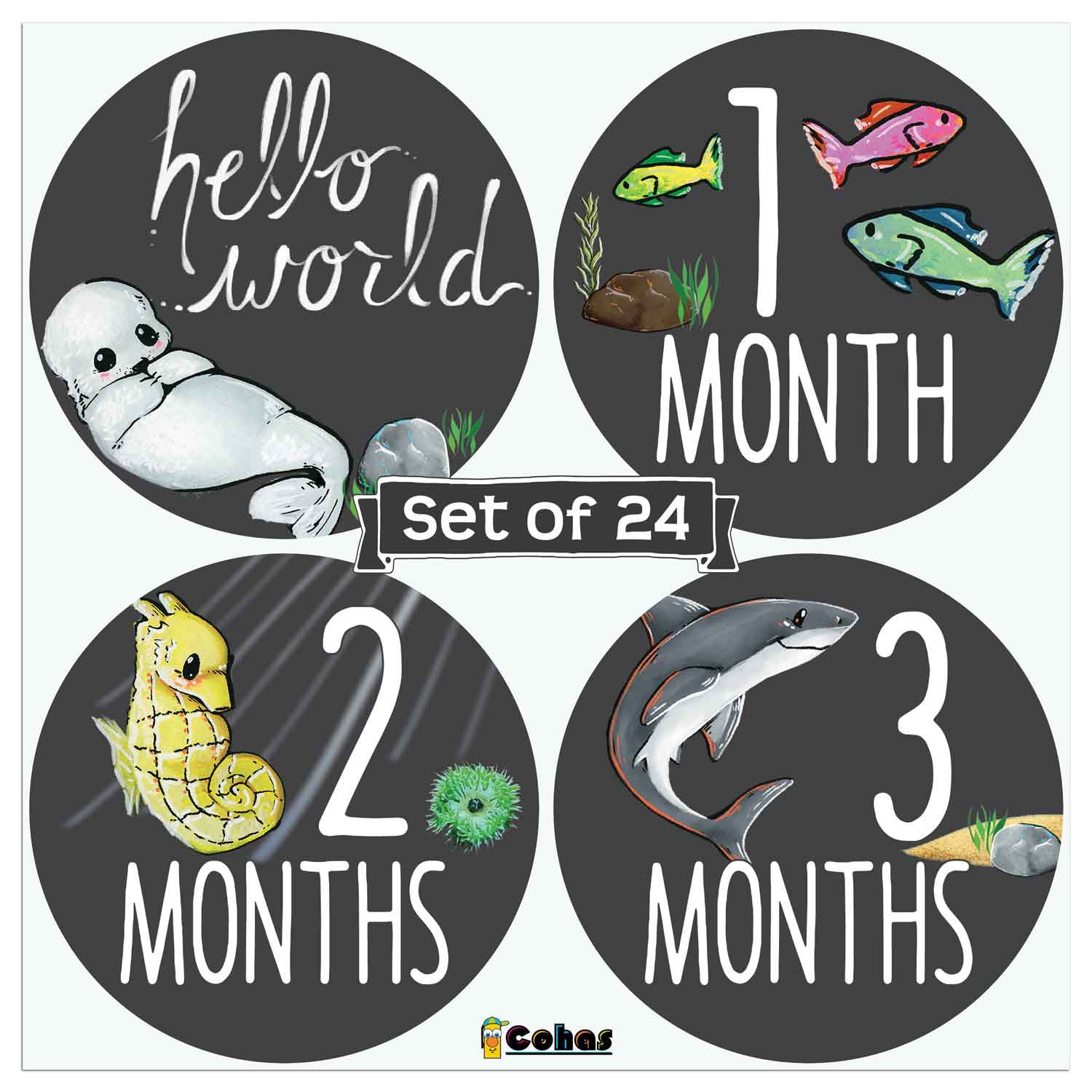 Cohas Baby Milestone Chalkboard Stickers, Set of 24, Ocean Animals ...