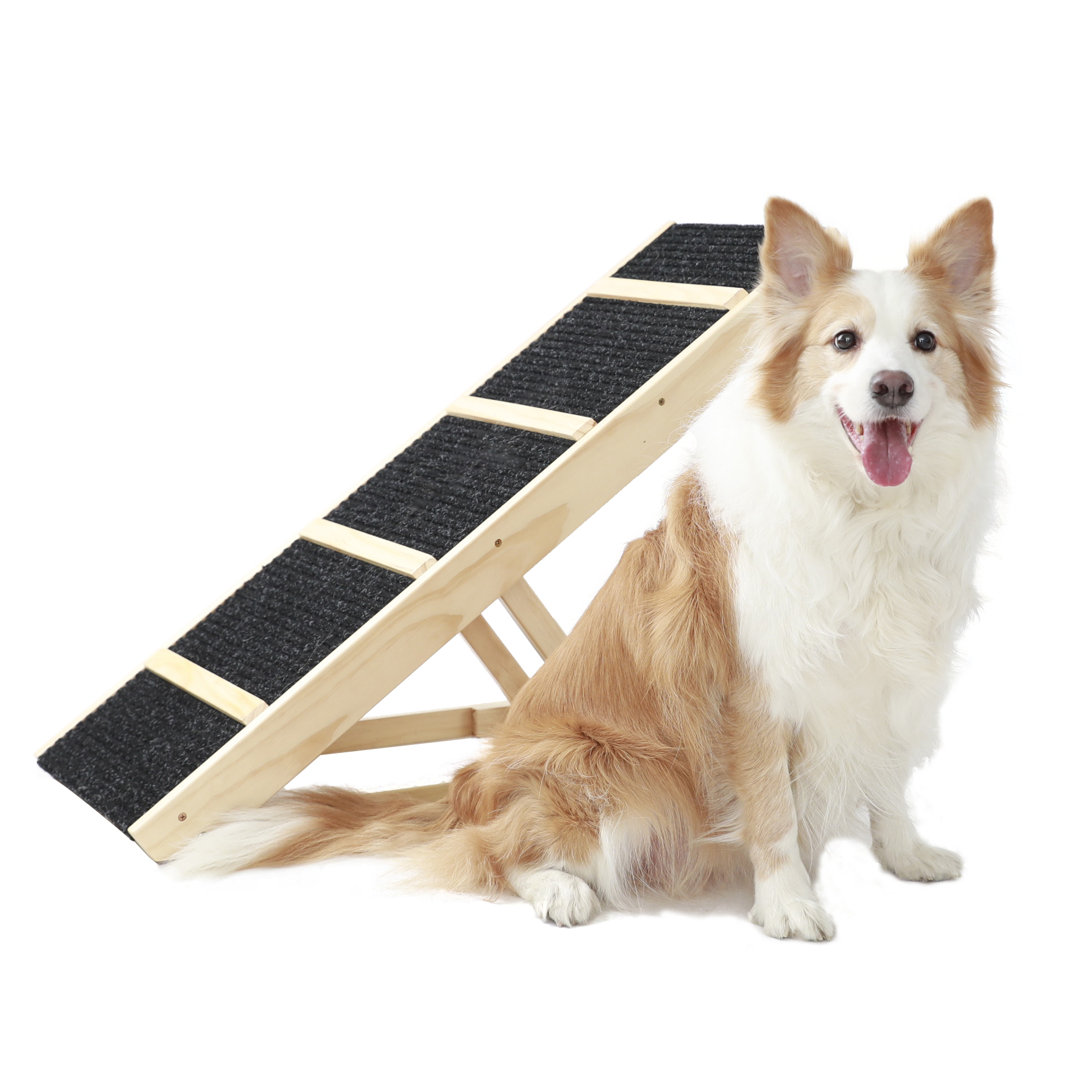 Vivifying Adjustable Pet Ramp for All Dogs and Cats,40" Long and ...