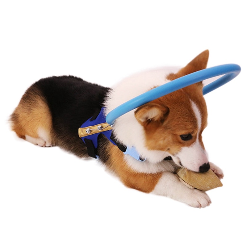 Blind Pet Anti collision Ring Collar Safe Halo Harness For Blind Dogs Blind Pet Anti collision Ring Collar Safe Halo Harness For Blind Dogs