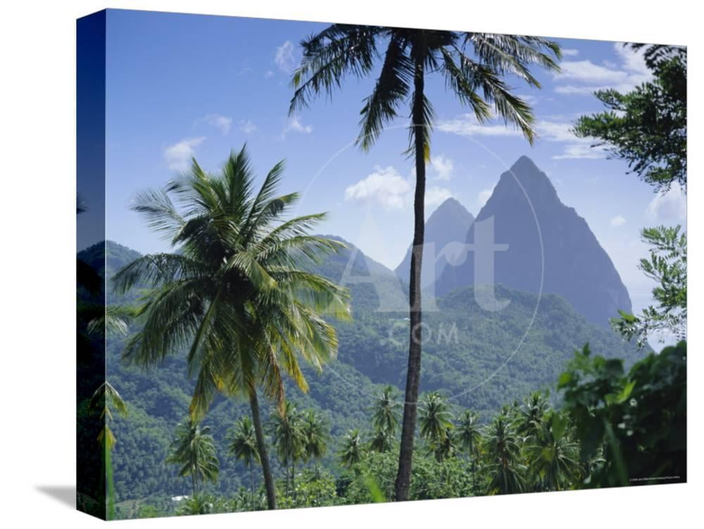 The Pitons, St Lucia, Caribbean, West Indies, Botanical Stretched ...