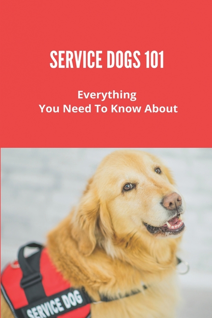 What Commands Does A Service Dog Need To Know What Commands Does A Service Dog Need To Know
