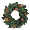 Proflora Natural Grapevine Wreath, 18” 2.2in - Walmart.com