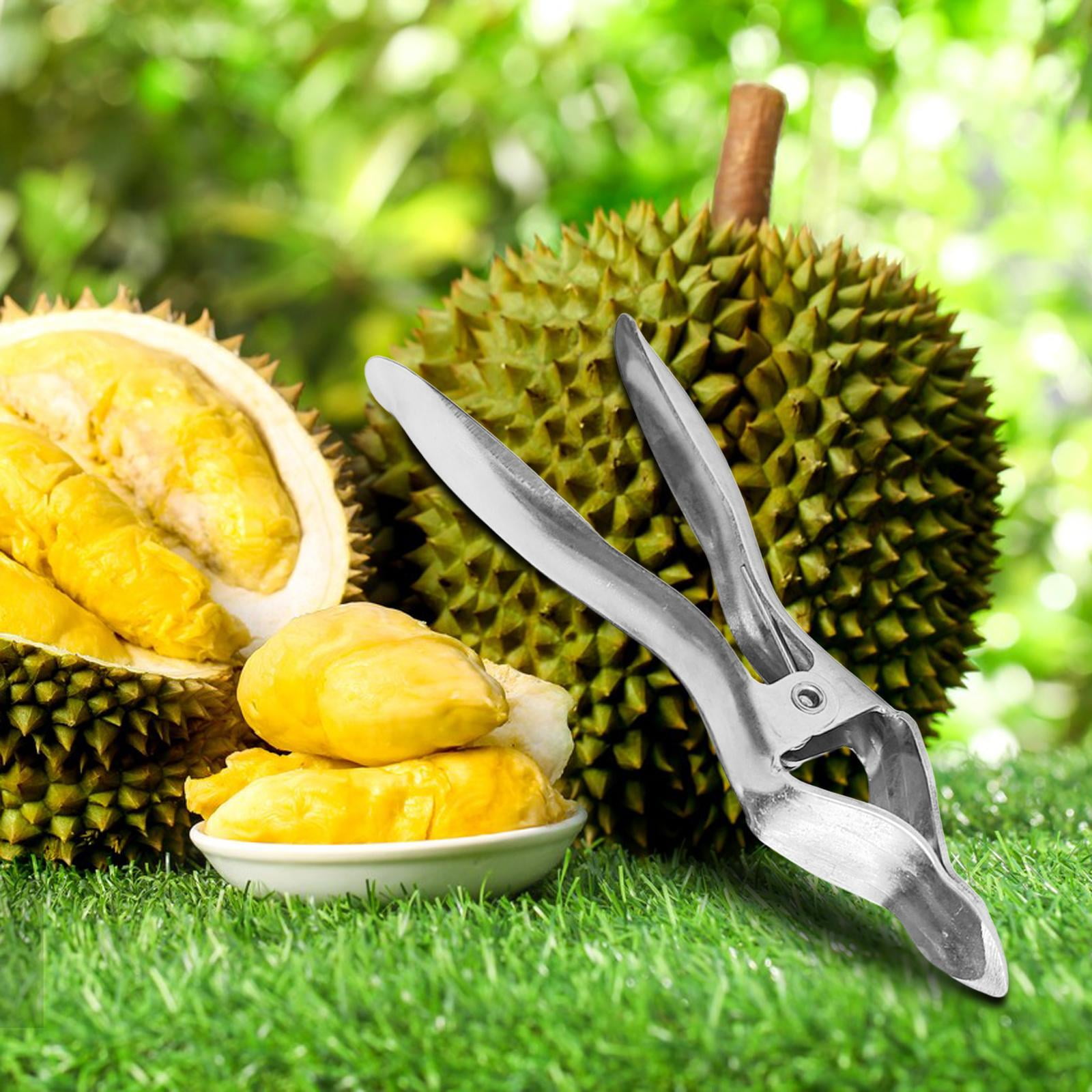 Durian Opener Clip Alicates Durable Durian Peel Breaking Tool Manual ...
