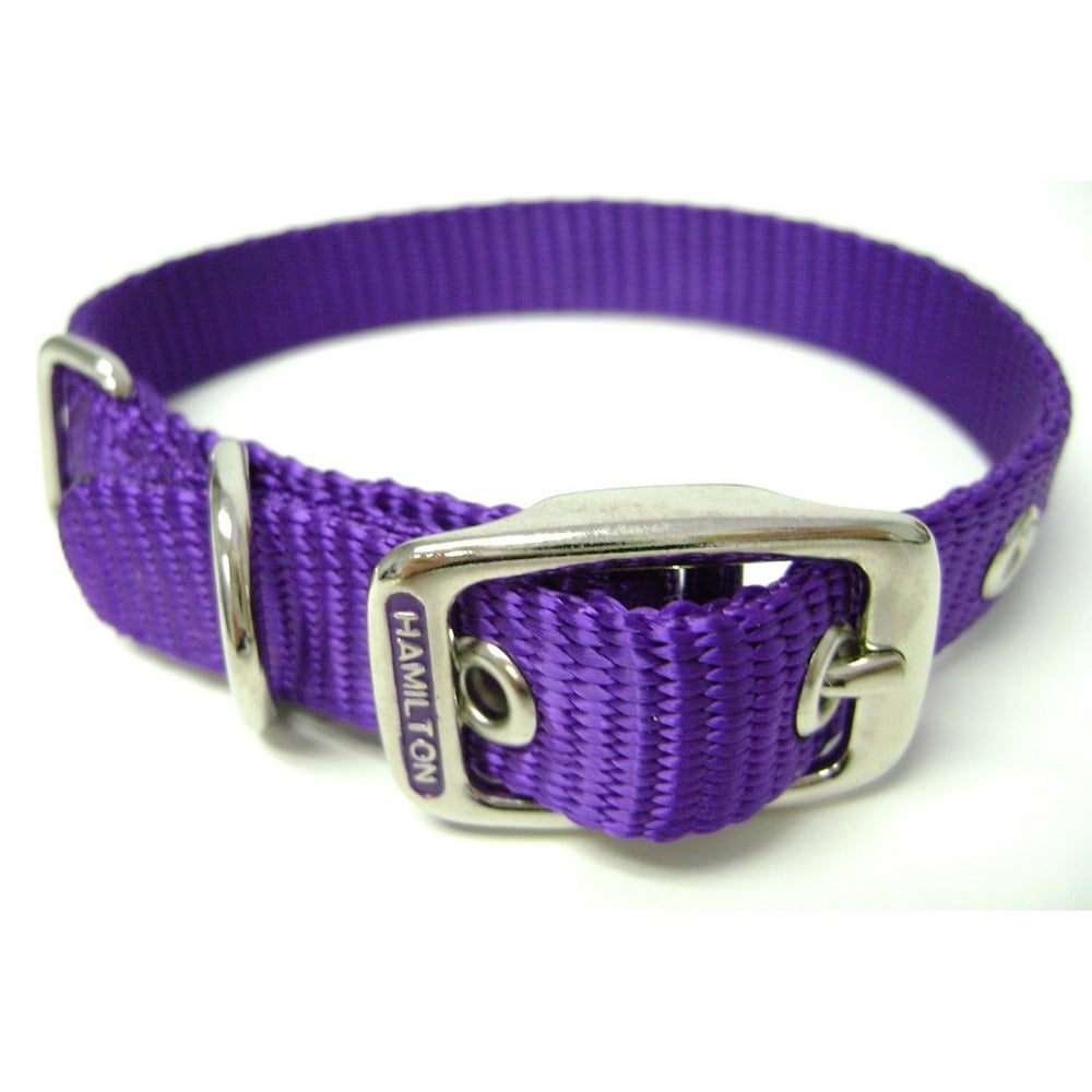 Hamilton 5/8" Single Thick Nylon Deluxe Dog Collar, 12 inch, Purple ...