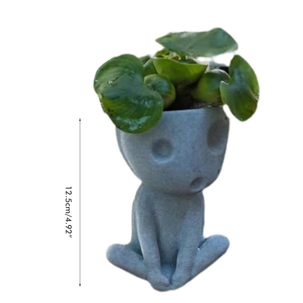 Macetero facial, macetero luminoso con cabeza de maceta, macetero ...