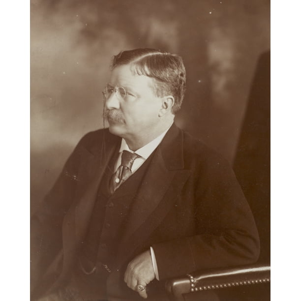 Print: President Theodore Roosevelt, Sitting Side Face, 1907 - Walmart.com