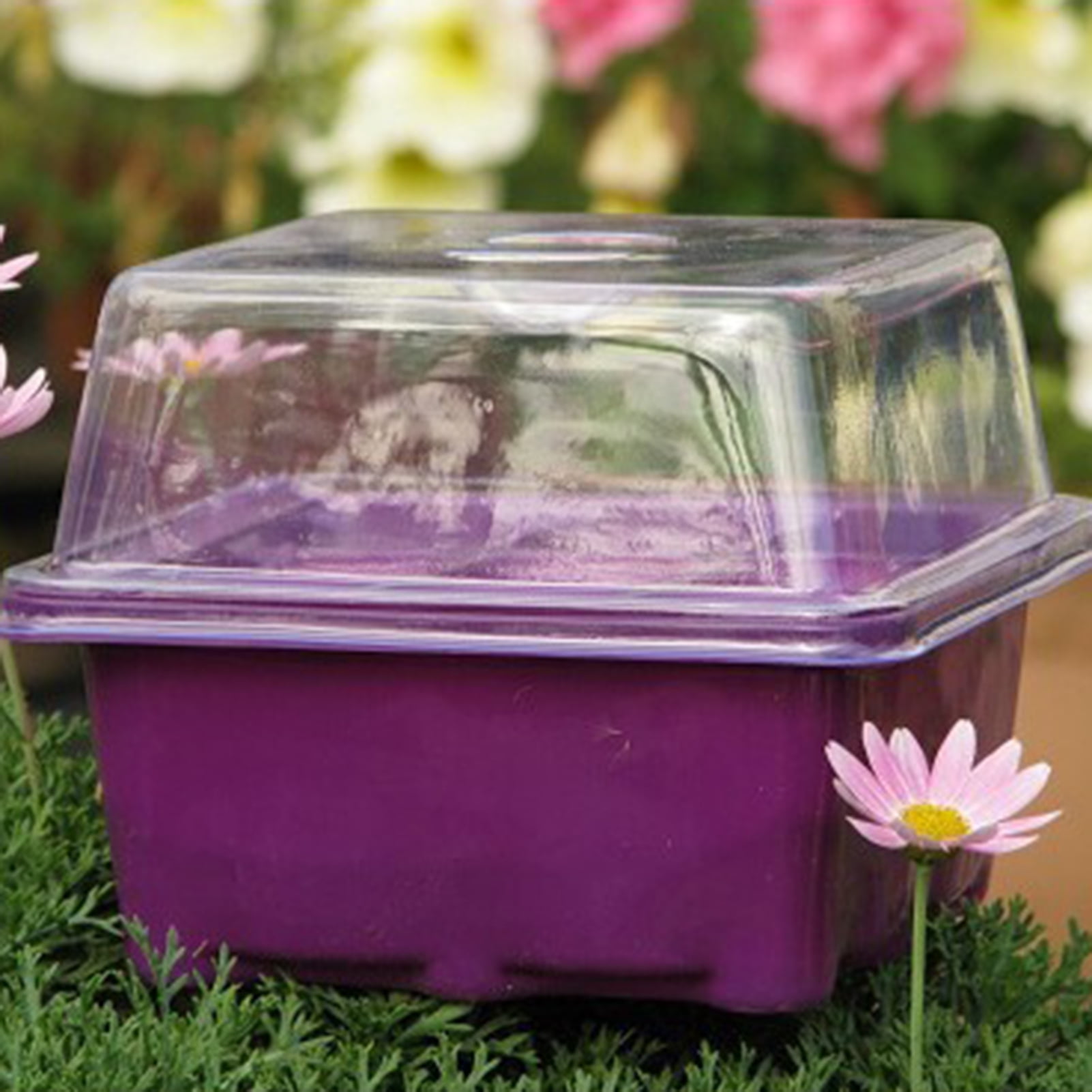 Hariumiu Nursery Tray Multi-compartments High Survival Rate Plastic ...