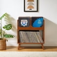 Crosley Furniture Asheville Medium Record Storage Stand in Walnut ...