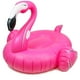 Sol Coastal 6-foot Wide Jumbo Pretty in Pink Flamingo Pool Raft ...