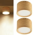 Sunjoy Tech LED Downlight High Brightness Wood Grain Low-Power ...