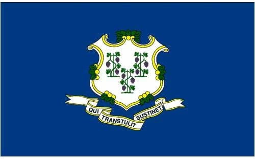 Connecticut 5ft x 8ft SpectraPro Flag - Walmart.com
