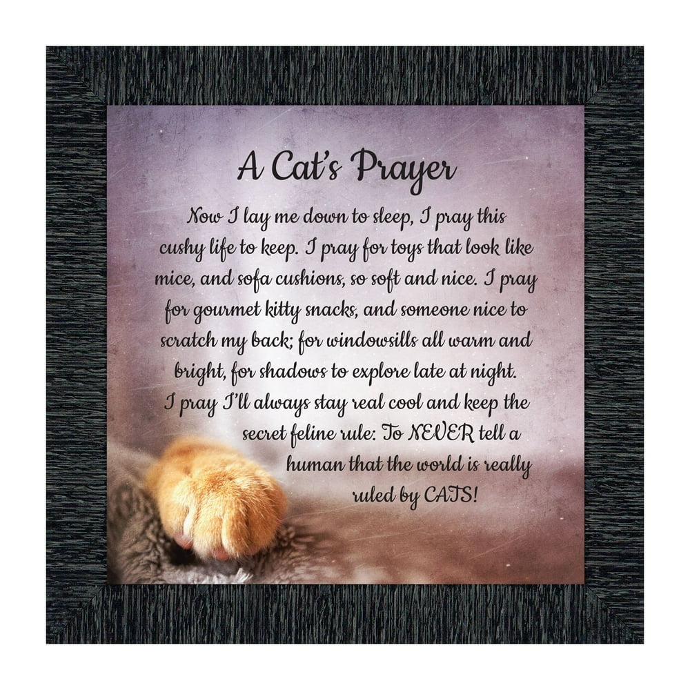 A Cat's Prayer, Pet Lover Gift, Cat or Kitten Paw Prints Picture Frame ...