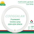 8 inch FC8T9/CW 22W Cool White Circular Fluorescent Light Bulb, Round ...