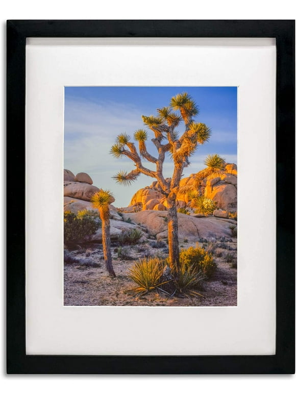 16x20 Picture Frames in Picture Frames - Walmart.com