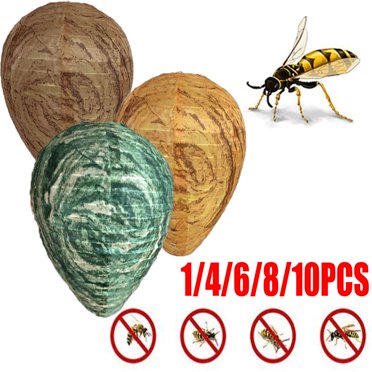 Fatal Funnel Wasp Hornet Trap for Homemade Bottle Reble Catchers Pack ...