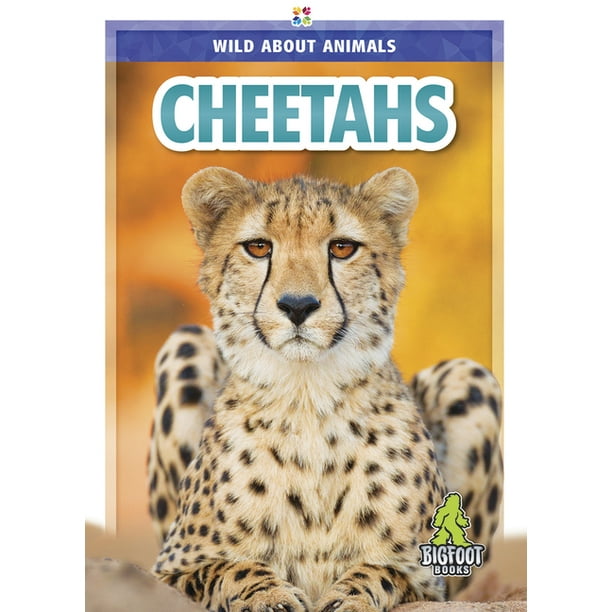 Wild about Animals: Cheetahs (Hardcover) - Walmart.com