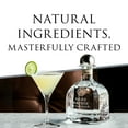 Gran Patron Platinum Silver Tequila, 750 mL Bottle, ABV 40% - Walmart.com