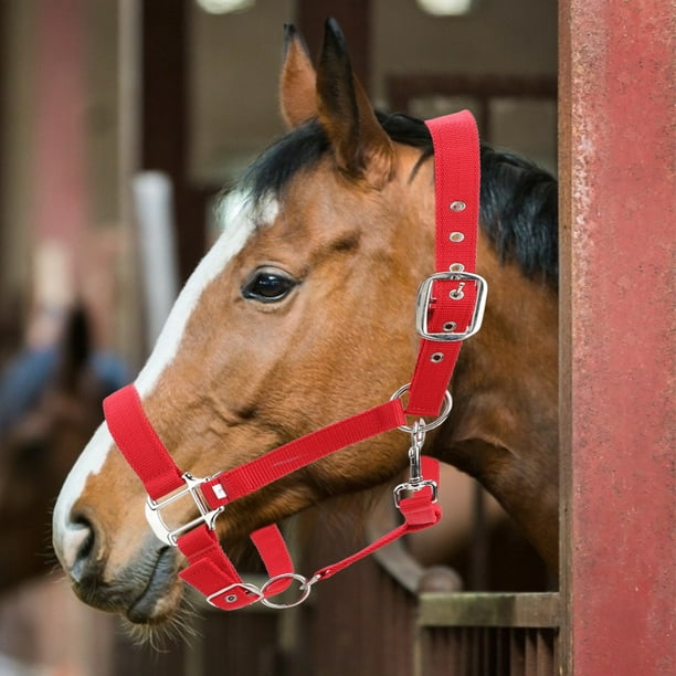 Horse Halters, Riding Accessories Horse Fly Control, Training Halter ...