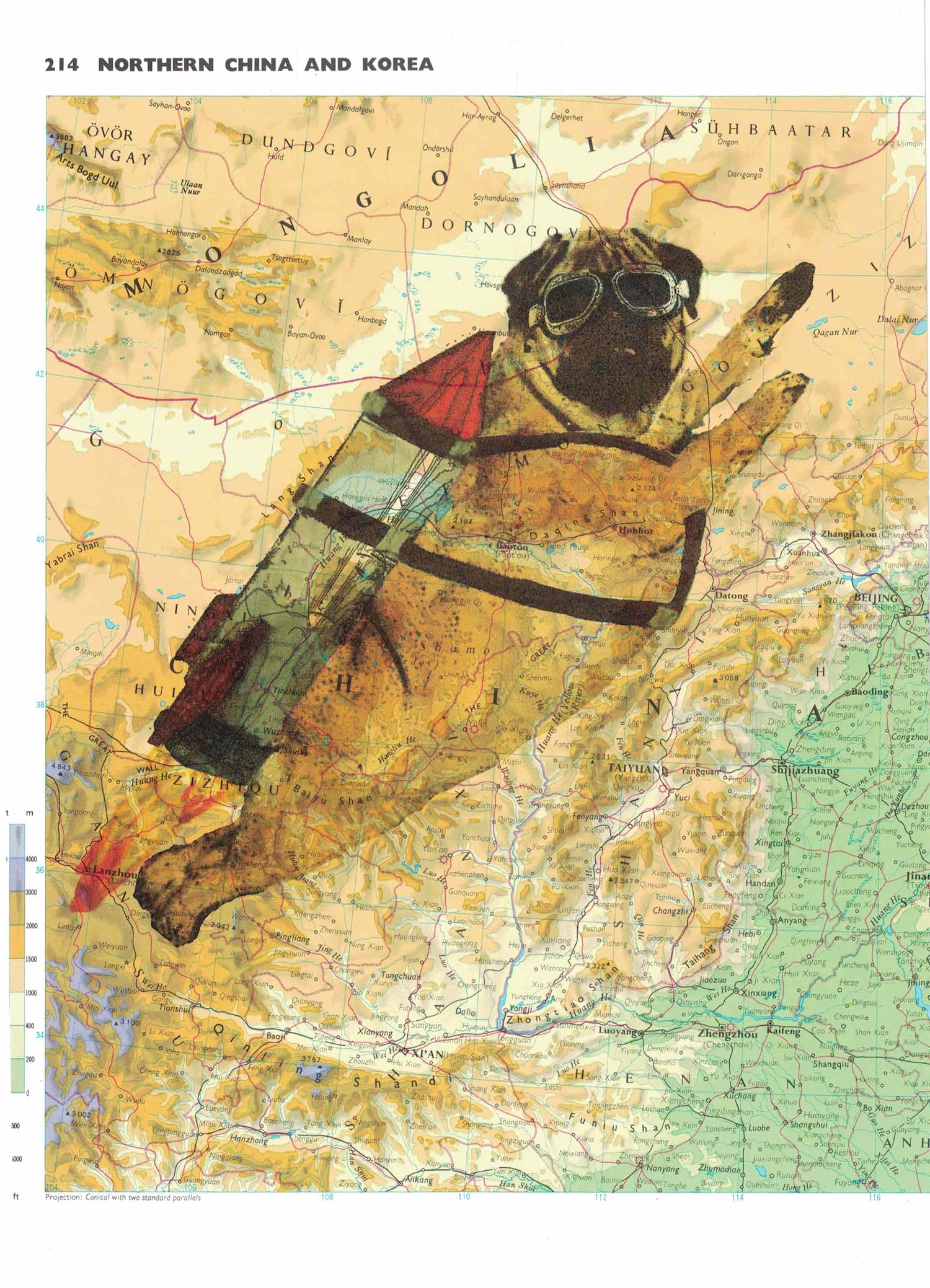 Art N Wordz Rocket Pug Original Atlas Page Original Pop Art Wall or ...