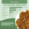 PROILGRUBS 10LBS Bulk Mealworms Dried for Chickens Nature High Protein ...