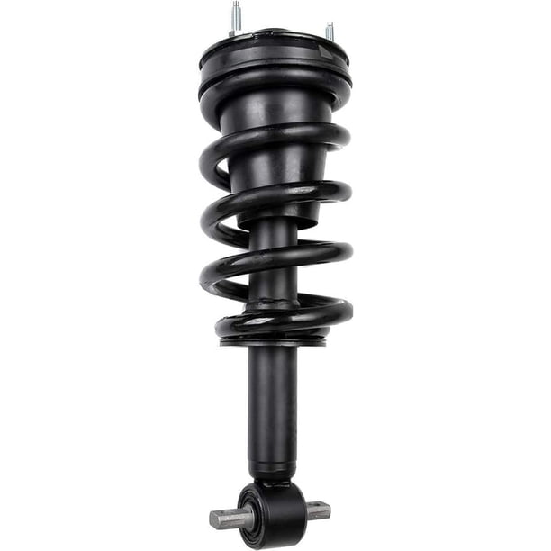 Front Driver or Passenger Side Complete Strut & Spring Assembly for ...