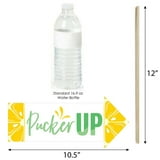 Big Dot of Happiness Funny So Fresh - Lemon - Citrus Lemonade Party ...