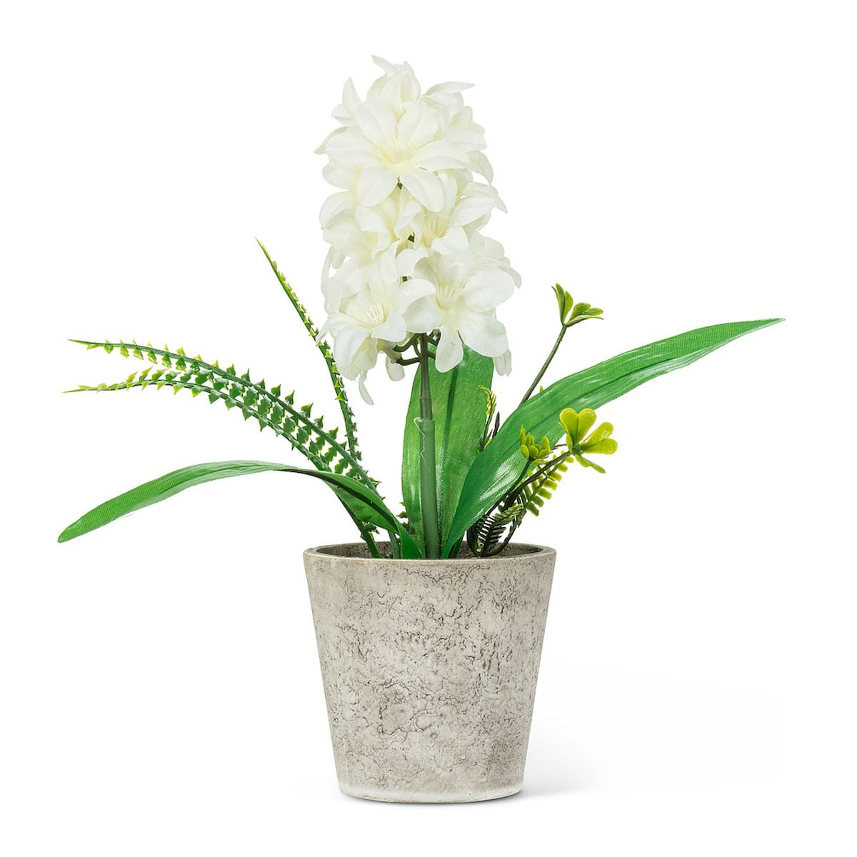 Click here for Unbranded Hyacinth In Pot Floral prices