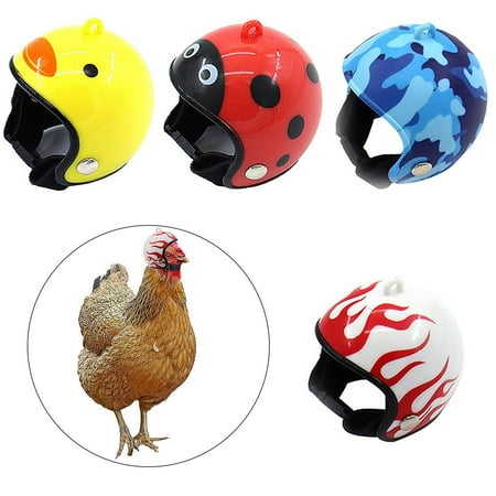 4 Pcs Chicken Helmet Plastic Bird Head Protection Chick Pecking Helmet ...