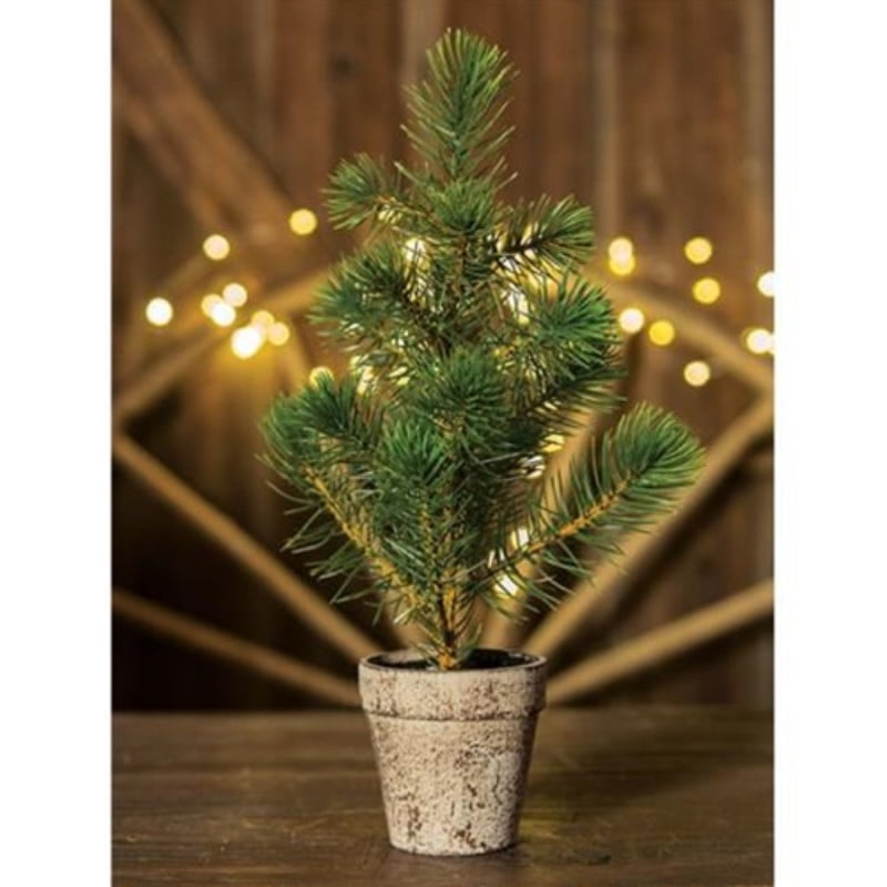 Potted Sierra Pine Tree - Walmart.com - Walmart.com