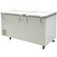 72″ Commercial Chest Freezer – 620L (18 cu. ft.) Capacity, Dual Hinged ...
