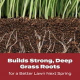 Scotts Turf Builder WinterGuard Fall Lawn Fertilizer for All Grass ...