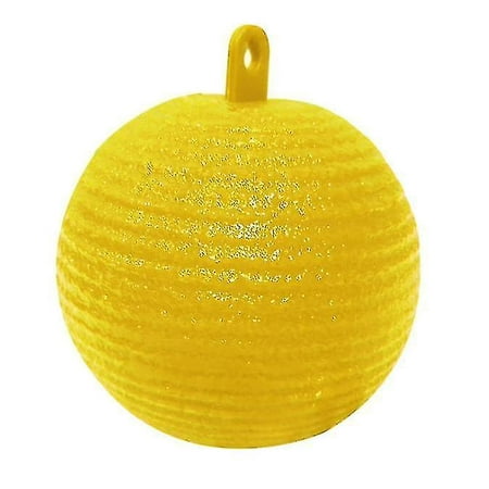 Suxm Sticky Fly Traps Outdoor Hanging,fruit Fly Trap Indoor,gnat Trap ...