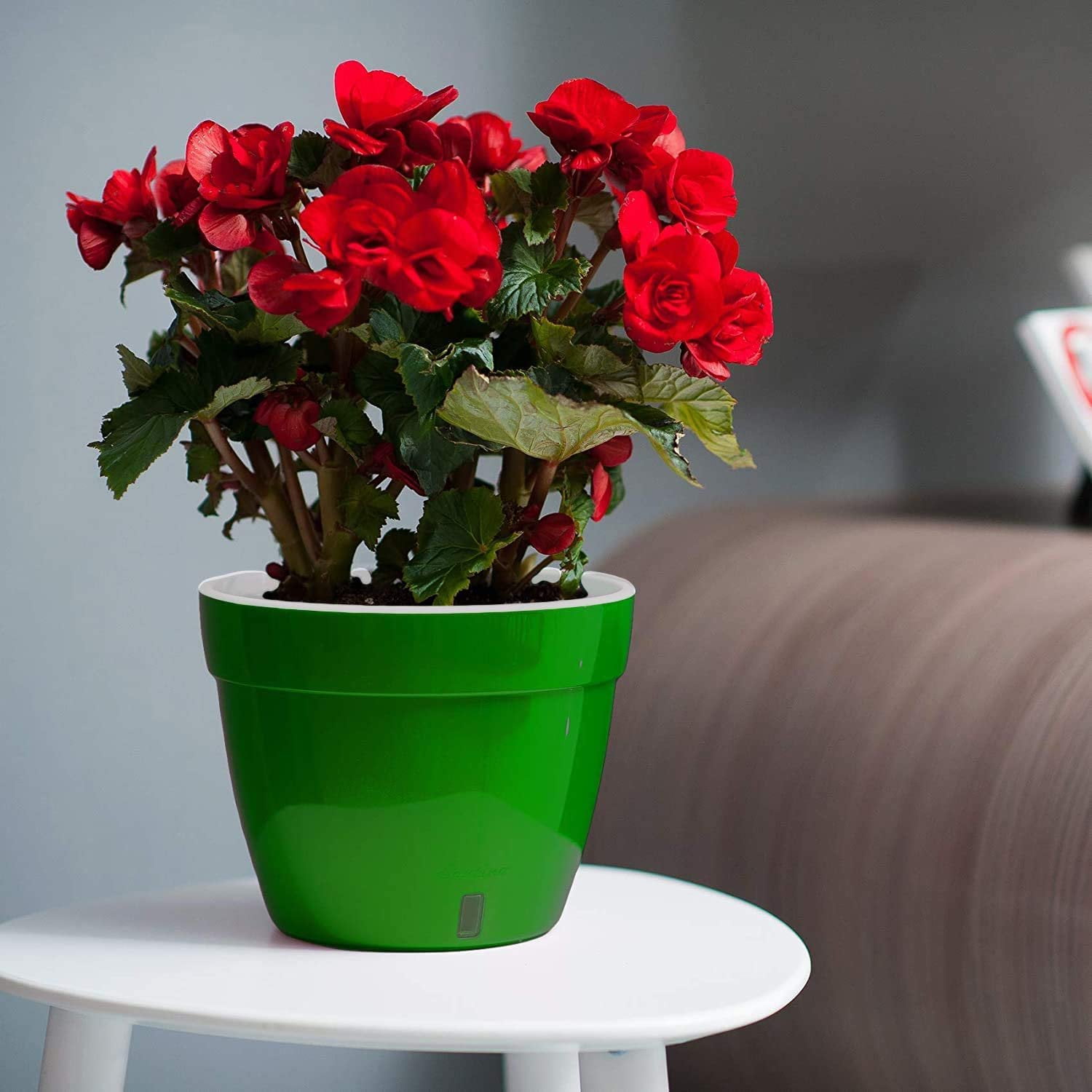 DecoPots - Self Watering Planter - Modern Flower Pot with Water Level ...