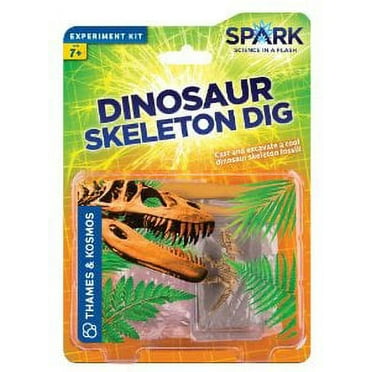 I Dig It! Rocks - Real Minerals Excavation Kit - Walmart.com