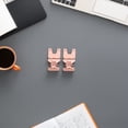 LOLIPPYY 10pcs Price Tag Holder Clip - Reusable Display Label Clamp ...