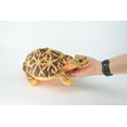 Box Turtle Plush Animal, Soft, Stuffed Reptile Toy, Educational ...