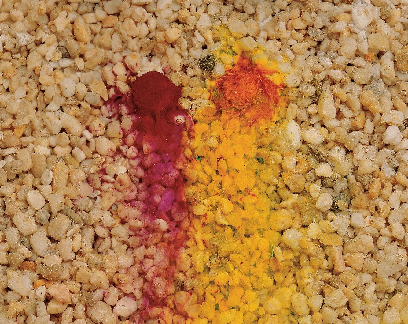 Bright Dyes Dye Tracer Liquid,Red,1 Pint 106053-01P - Walmart.com