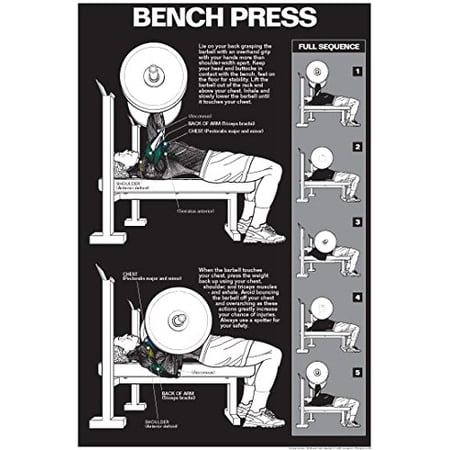 Bench Press Laminated Chart (Black/Dark Grey, 24" x 36") | Walmart Canada
